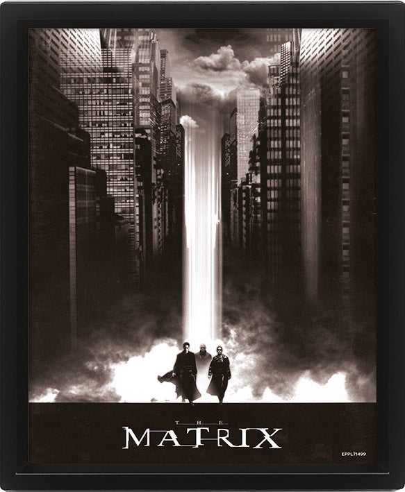 The Matrix (Lightfall) Framed 20x25cm 3D Lenticular Print – Pyramid ...